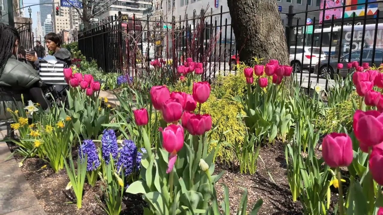 LIVE SPRING WALK THE HIGH LINE NEW YORK CITY TIME SQUARE | MACYS APRIL ...