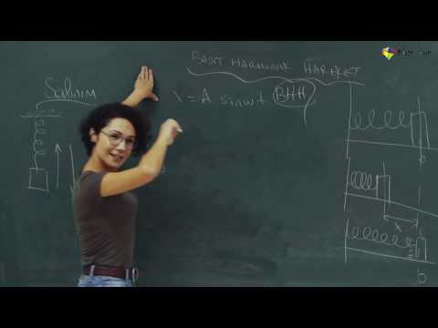 Basit Harmonik Hareketler 1