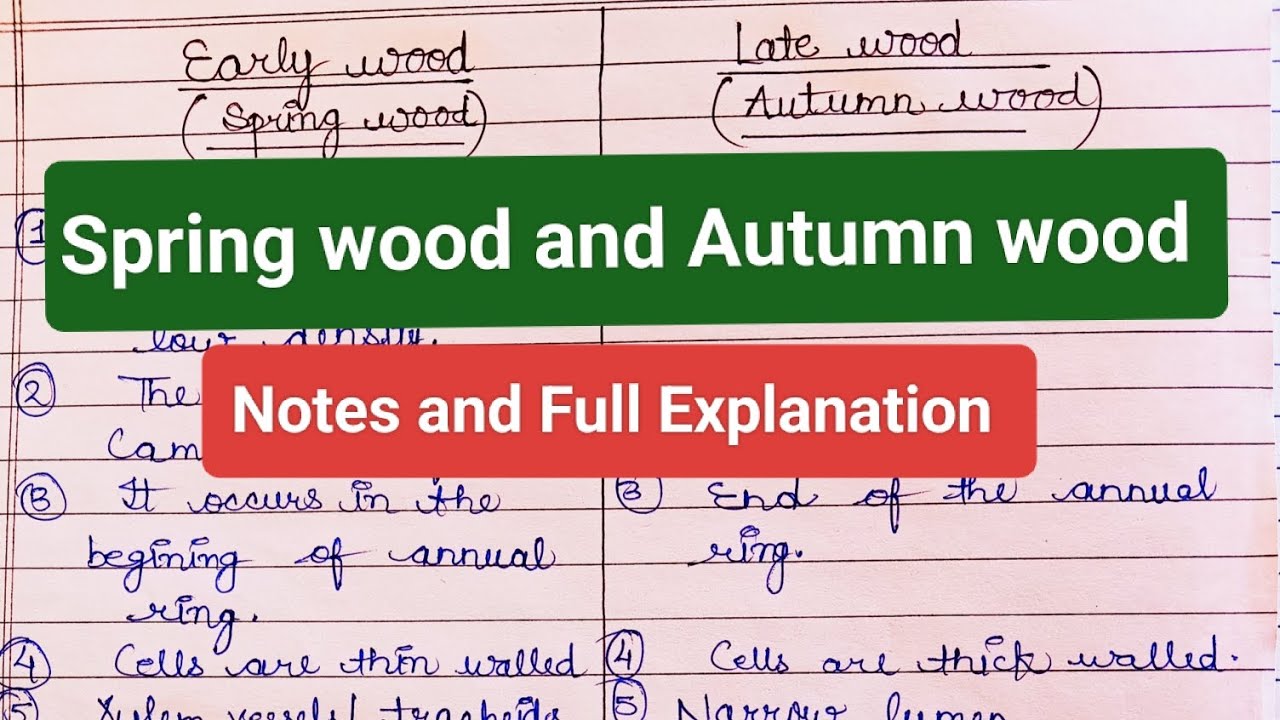 Difference between Spring wood and Autumn wood | Early wood and Late ...