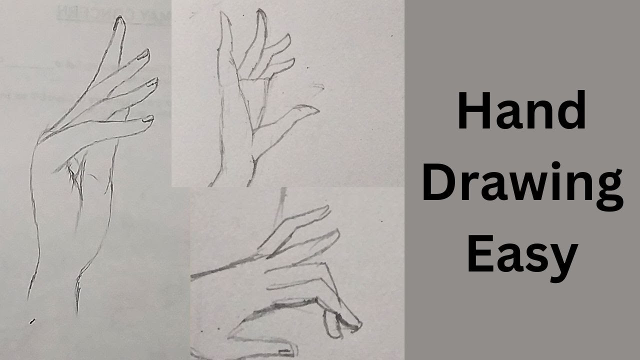 How to draw hand easy step by step for beginners/ hand anatomy tutorial - YouTube