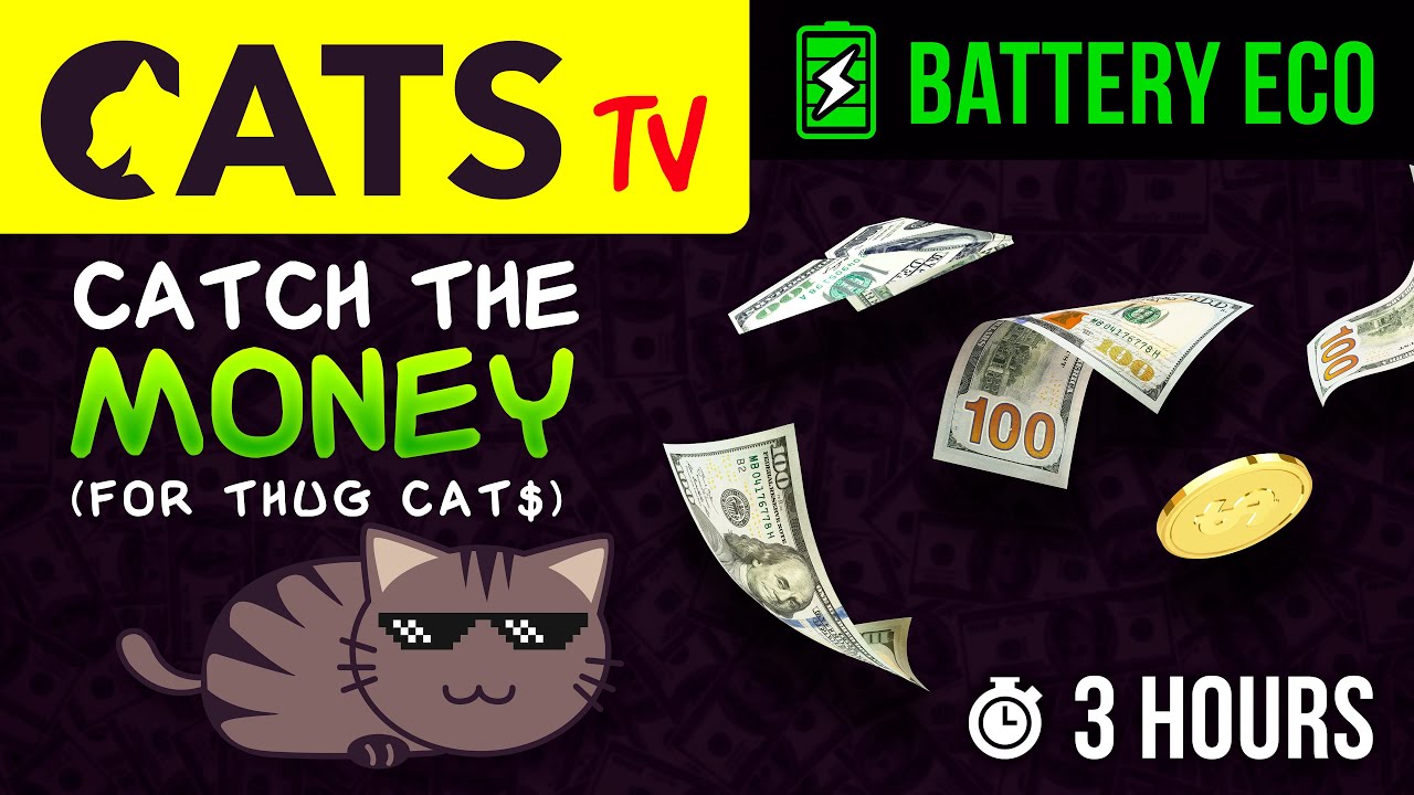CATS TV - Catch the MONEY 💸 Battery ECO 🔋 3 HOURS (Game for THUG CAT ...