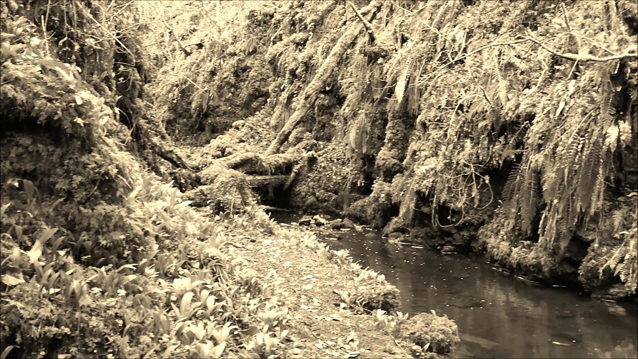 Aboriginal Ireland - YouTube