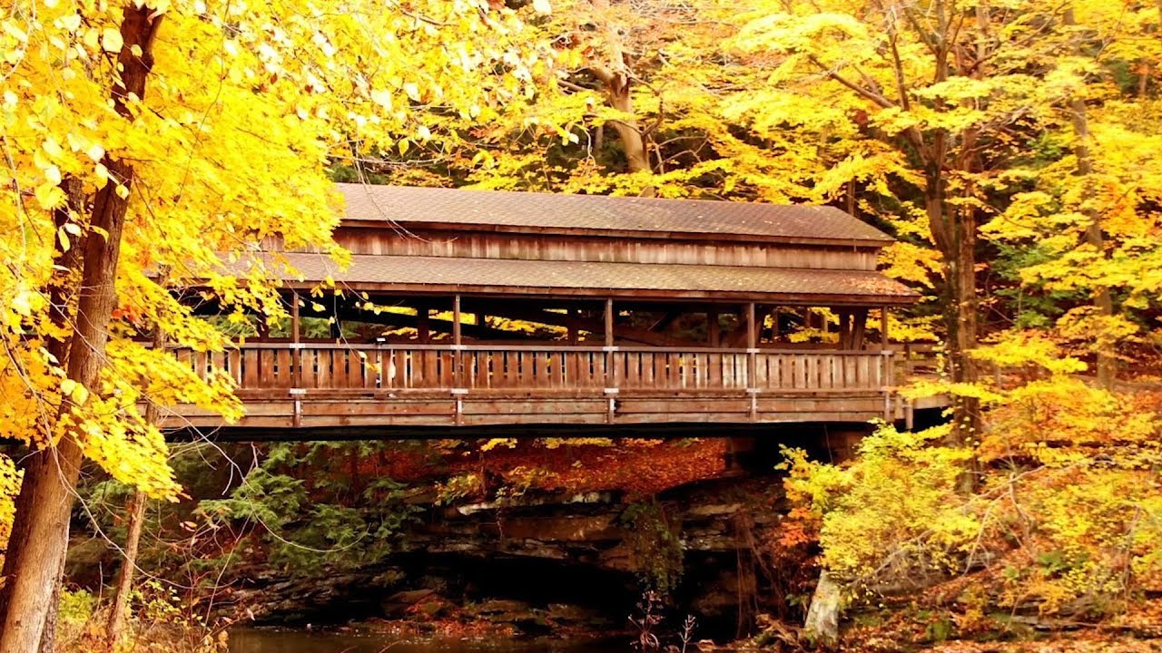 Beautiful Relaxing Music, Light Piano & Flute Music "Coming Home" by ...