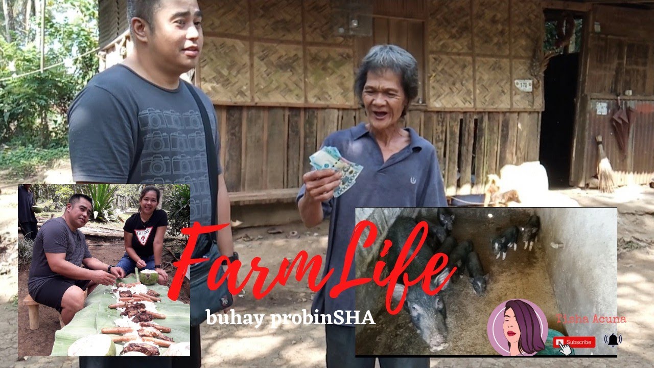 Farm Life | Kita sa Pag-aalaga ng Organic Native Pigs |Tisha Acuna ...