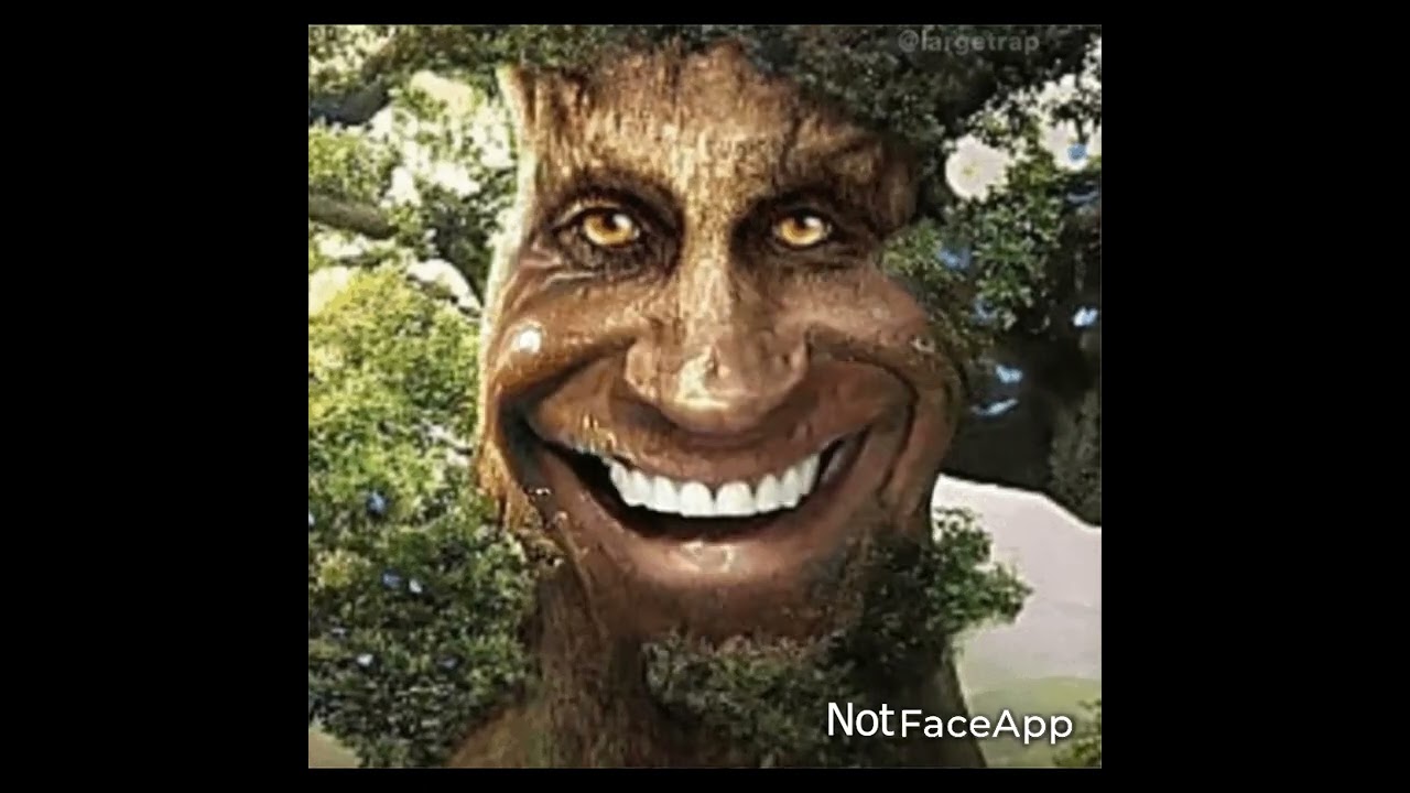 wise mystical tree is kinda sus 🌳 - YouTube