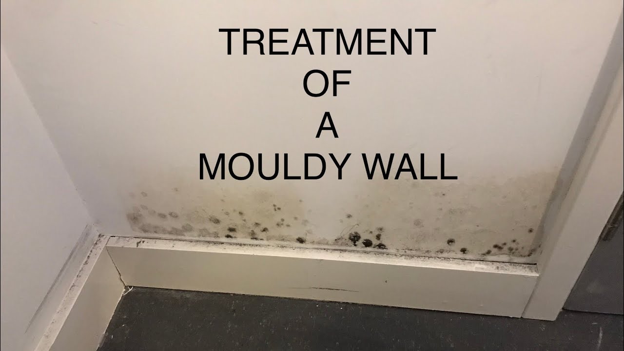 Mouldy wall treatment - YouTube