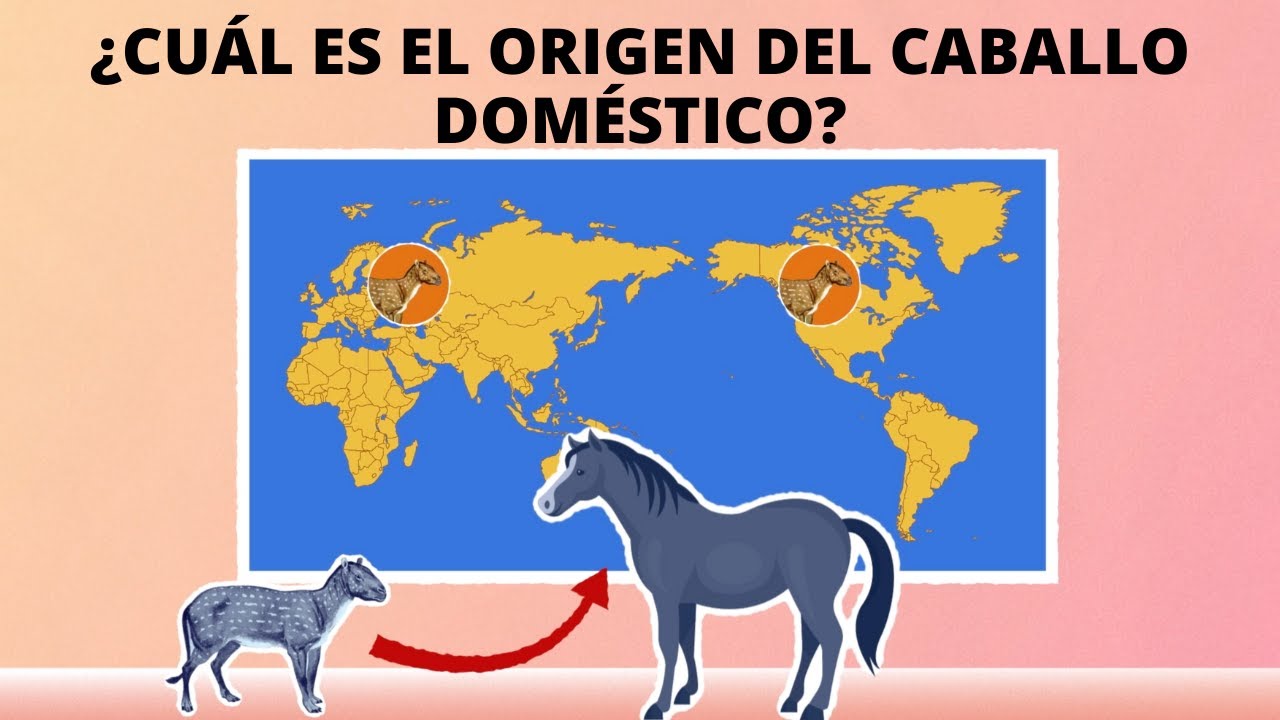 ¿Cuál es el origen del caballo doméstico? - YouTube