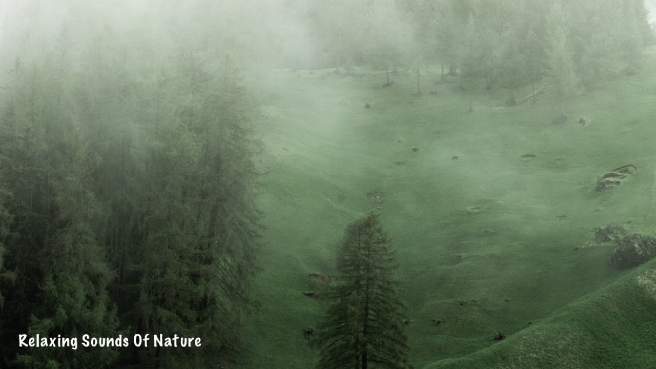 wind and mist - wind and mist blowing - YouTube