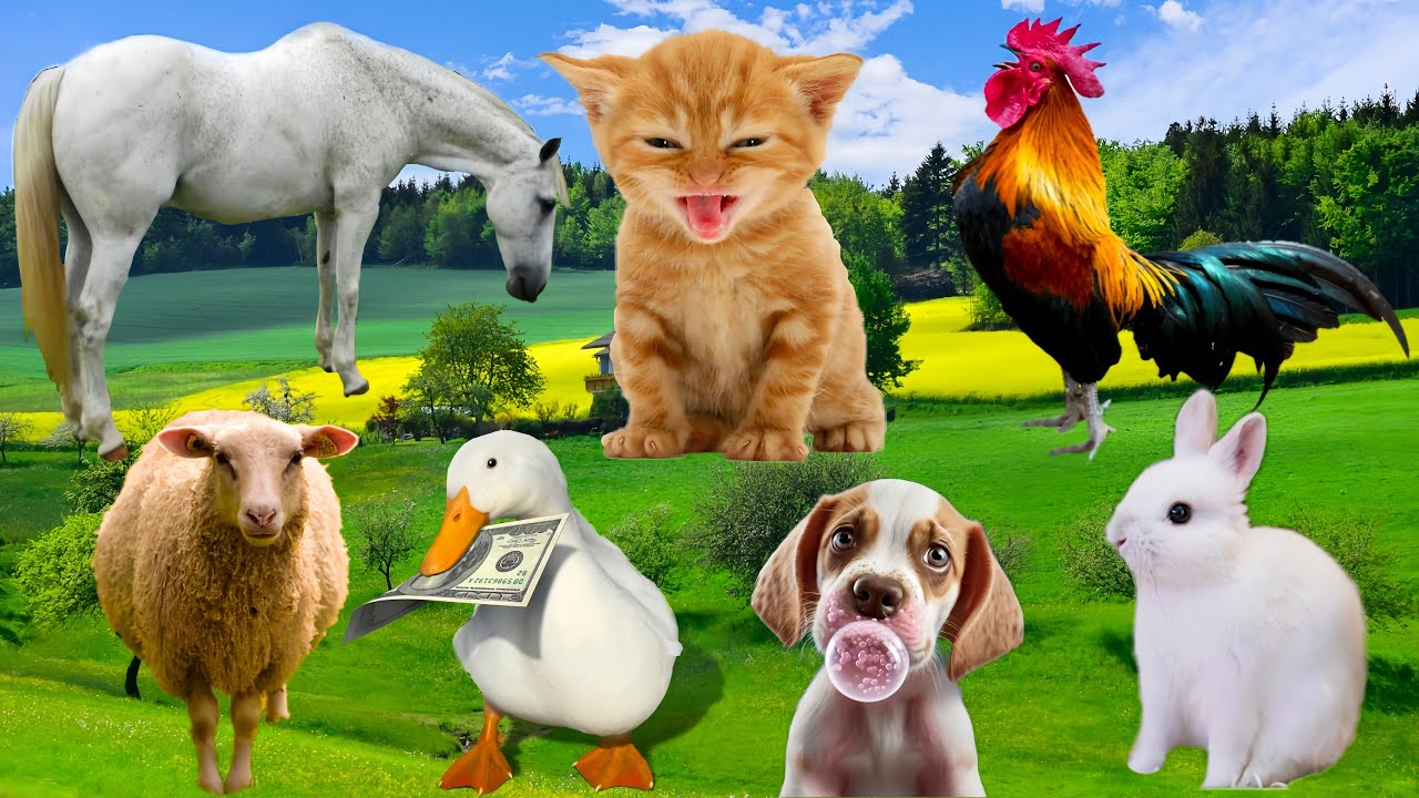 Adorable Animal Voices: Cat, Duck, Horse, Pig, Sheep, Donkey, Rooster ...