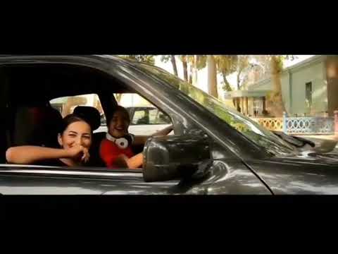 ДУХТАРОИ ТОЧИК