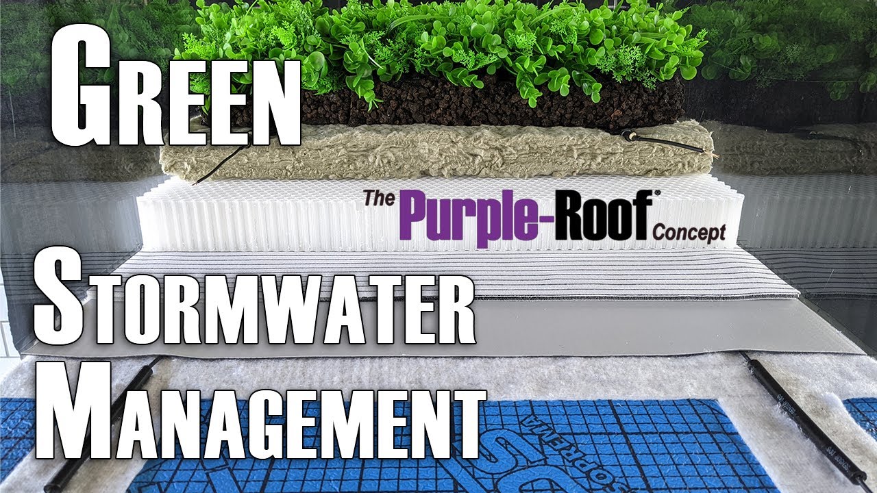 Purple-Roof Concept Live Model Video (Short) - YouTube