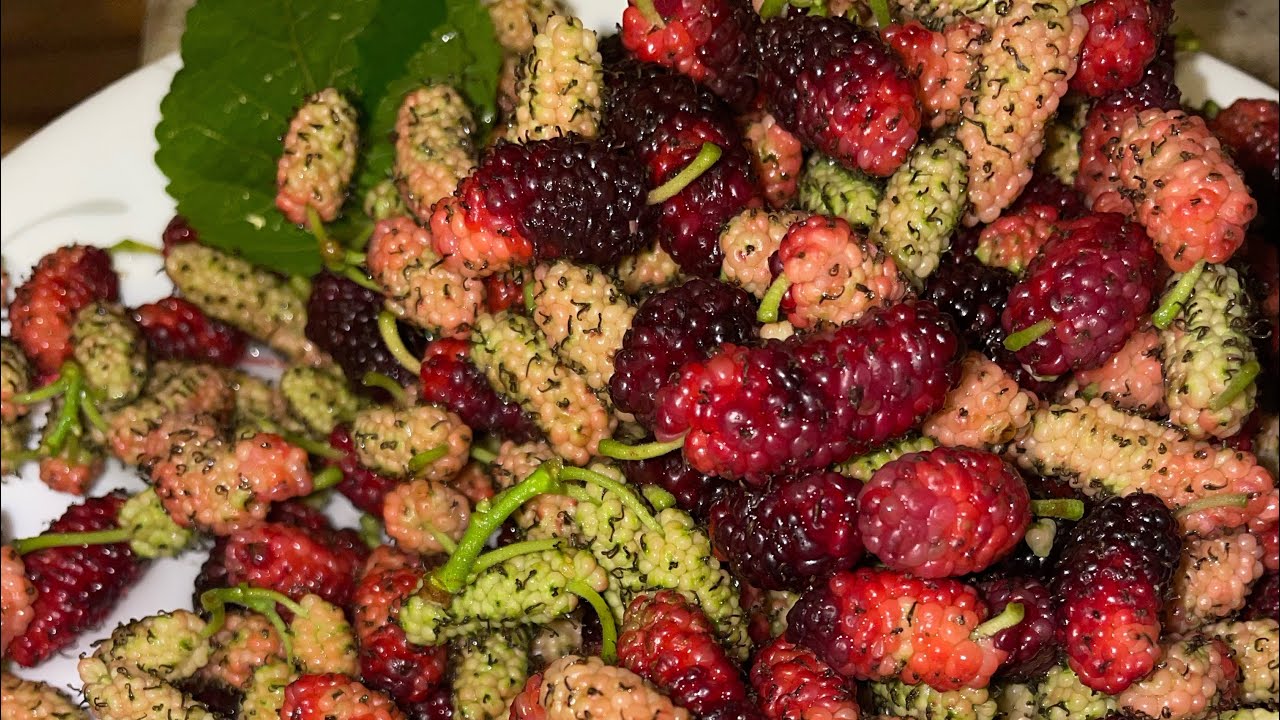 How to make Kimbu achar? - YouTube