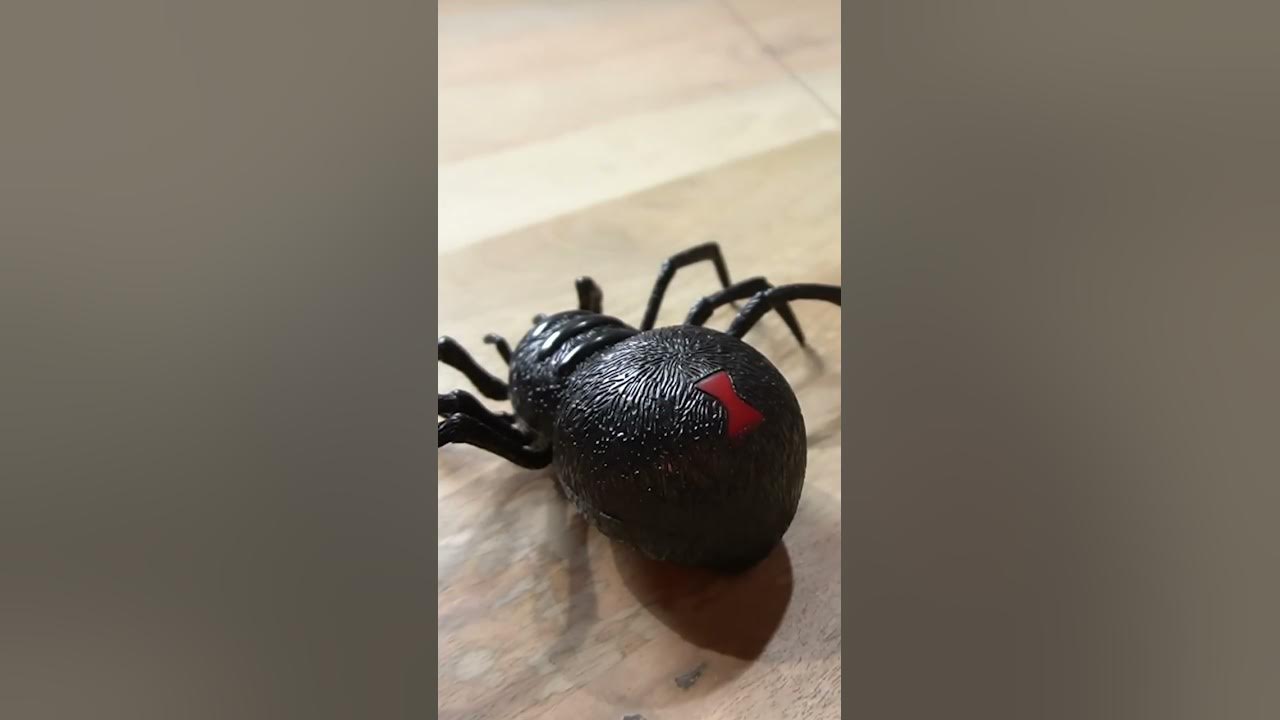 Hai mai visto un ragno robot? - YouTube