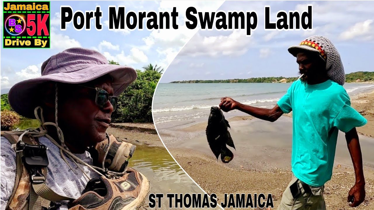 Port Morant Swamp Lands St Thomas Jamaica - YouTube