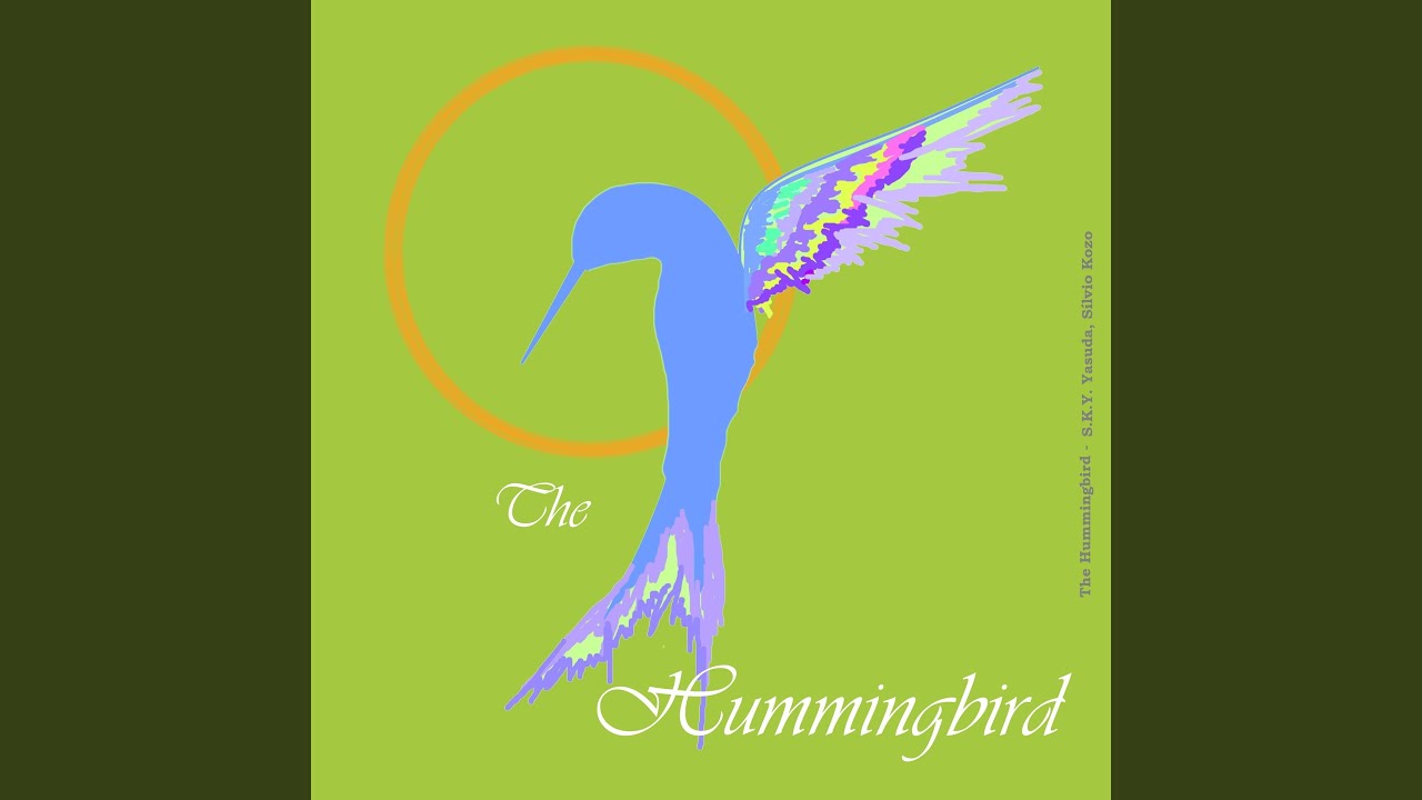 The Hummingbird - YouTube