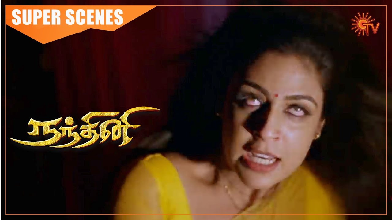 Nandhini Super Scene - Epi 23 | நந்தினி | Sun TV Serial | Super Hit ...
