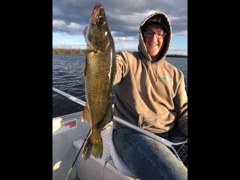 Central Quebec Walleye Catch Clean Cook - YouTube