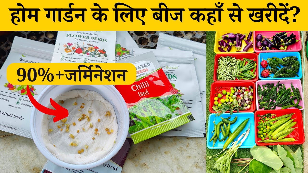 होम गार्डन के लिए अच्छी गुणवत्ता वाले बीज कहां मिलते हैं? ऑनलाइन बीज ...