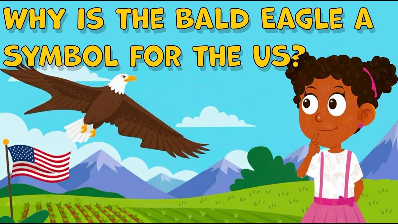 I Wonder Why is the Bald Eagle a Symbol for the US | US Symbols Facts ...