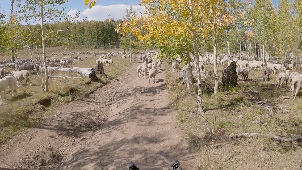 Utah Backcountry Discovery Route (BDR) Part 5 4k - YouTube