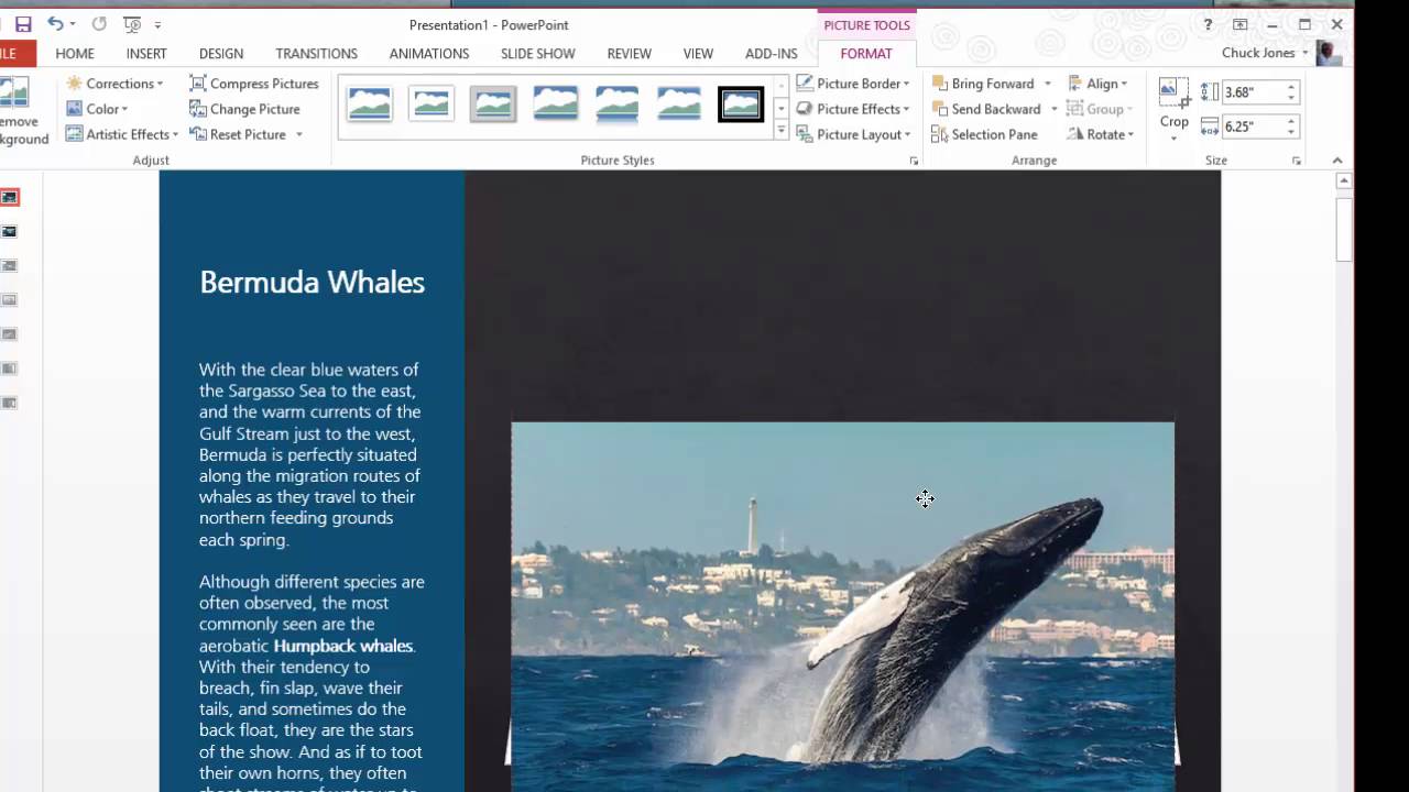 Create a Photo Pop Effect in Powerpoint - YouTube
