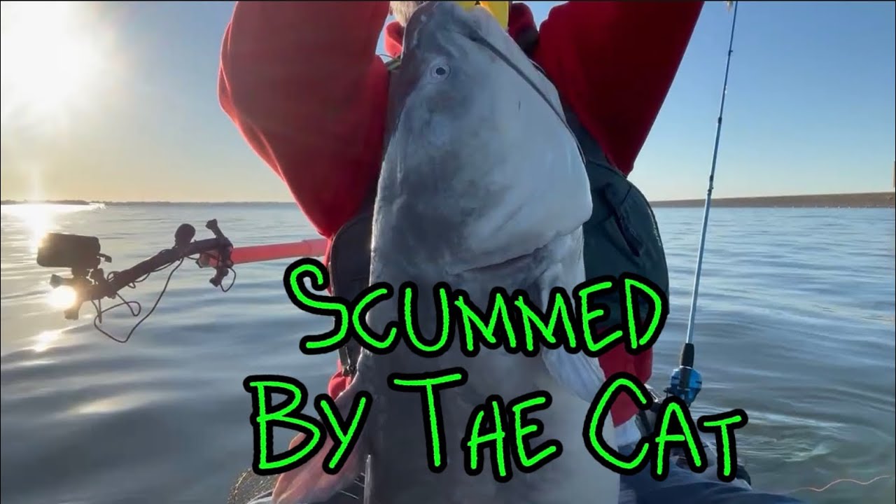 Scummed Again BAD - YouTube