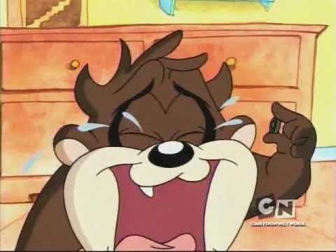 Baby Taz Crying - YouTube