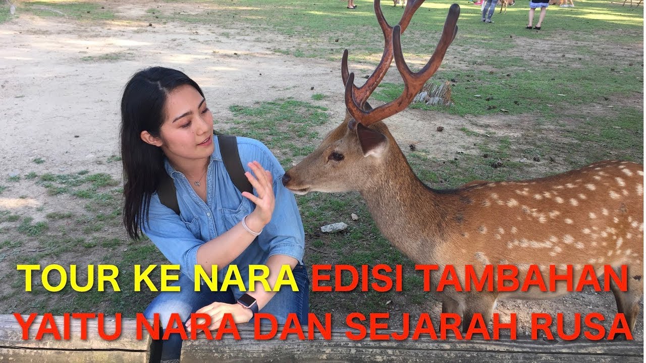 ♯12 TOUR KE NARA EDISI TAMBAHAN YAITU NARA DAN SEJARAH RUSA〜奈良ツアーの旅番外編 ...