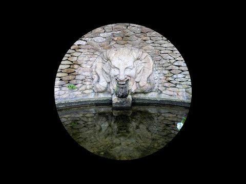 Northern Dusk - Feeding Demons