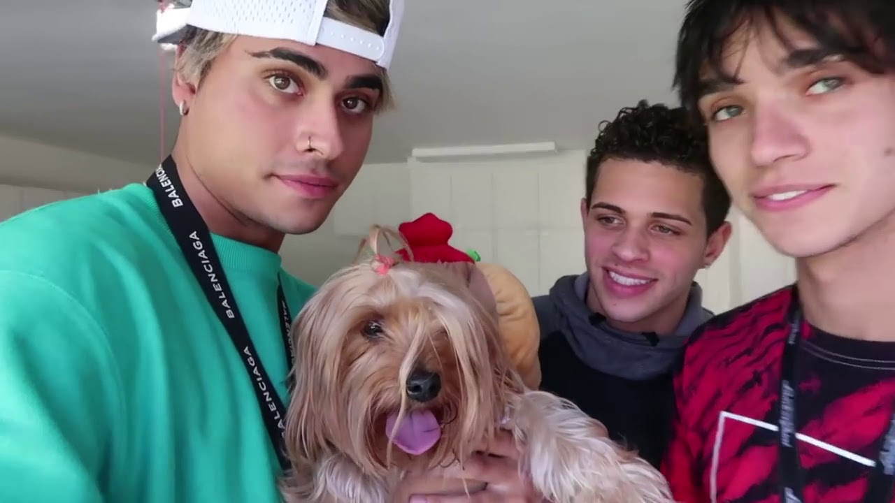 Dobre Brothers! OUR DOG HAS A NEW GIRLFRIEND!1 - YouTube