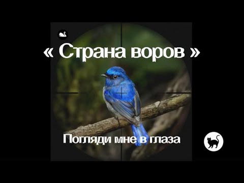 Страна воров