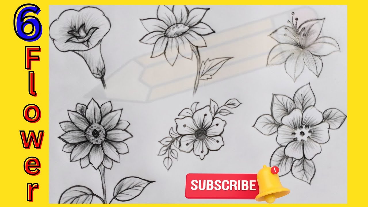 How To Draw 6 Flowers in nine Minute || 6 Flowers || ছয়টি ফুল আকা || easy draw six flower - YouTube
