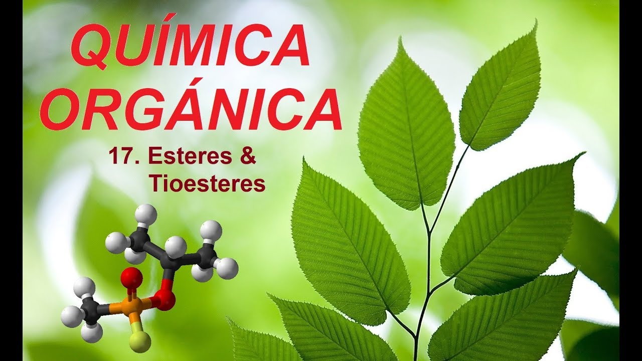 17 Esteres & Tioesteres - YouTube