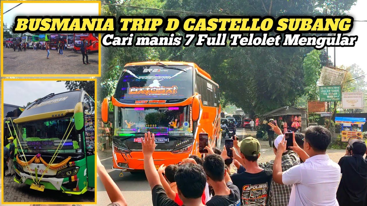 Full Mengular !!! Busmania Trip D Castello, Carimanis 7 full Bus Basuri ...