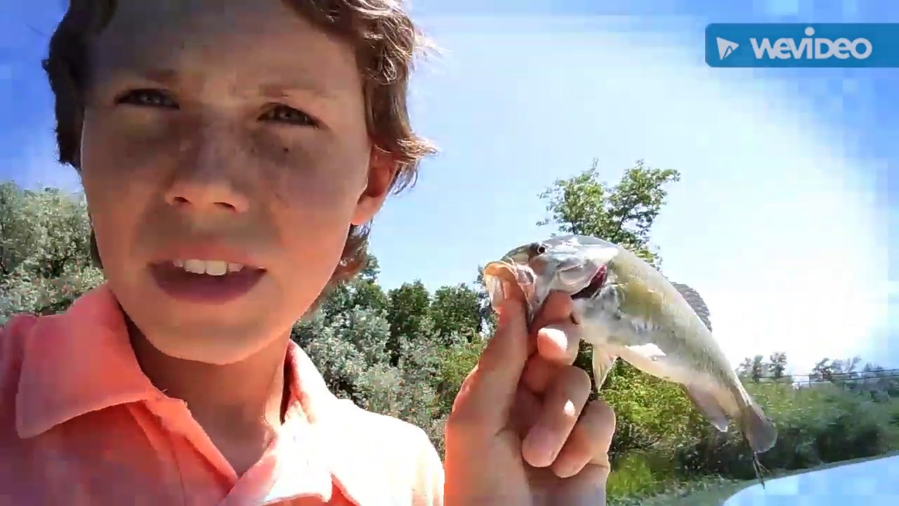 Catch N' Cook Smallmouth Bass! - YouTube