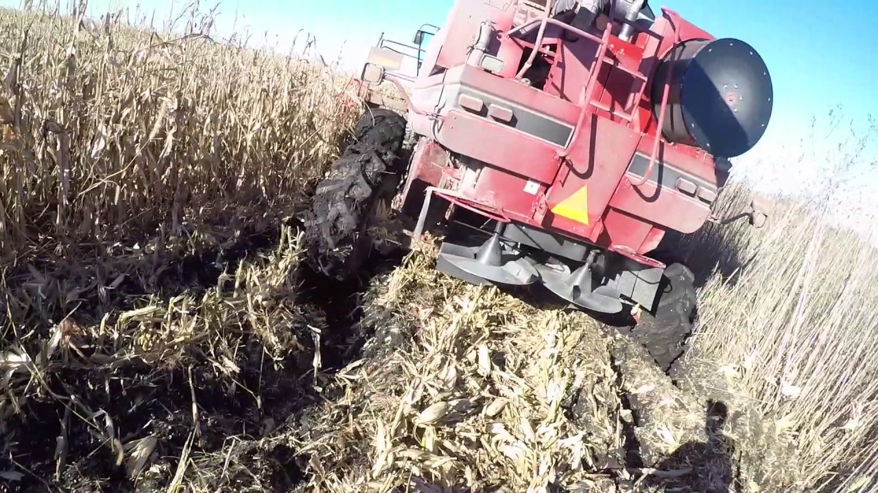 Combine Stuck in Deep Mud - YouTube