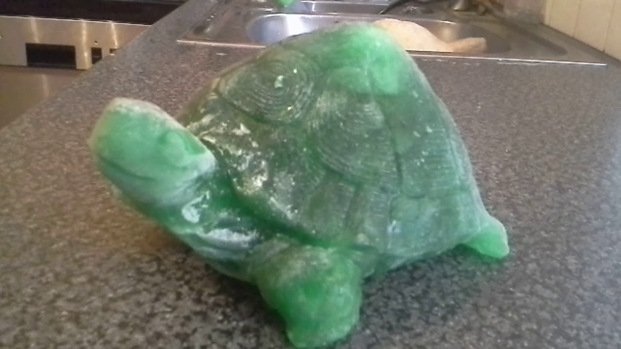 A tortoise made of jelly - YouTube