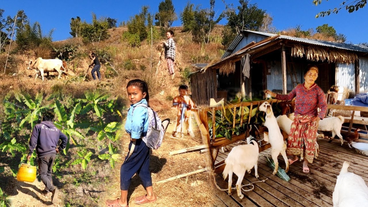 Hardworking Family, Mixed Farming of Rural Nepali Village | Village ...