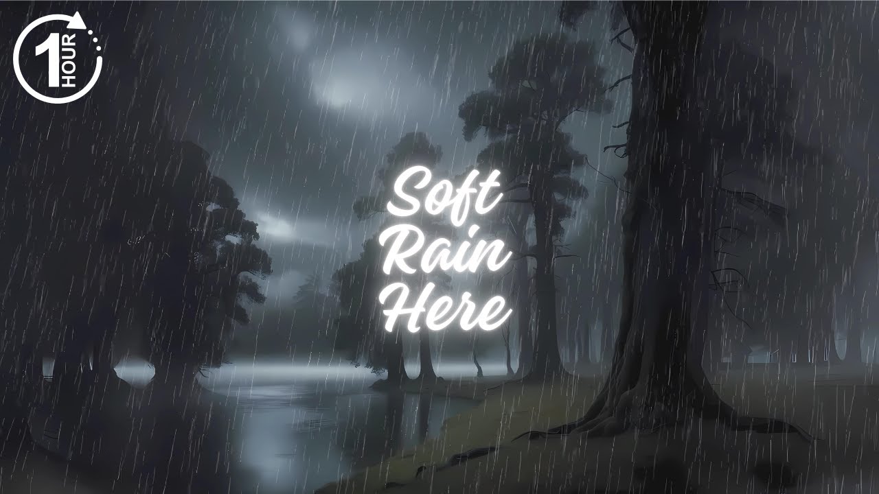 ASMR SOFT RAIN SOUND, RAIN SOUND IN THE MIDDLE OF THE FOREST, RAIN ...