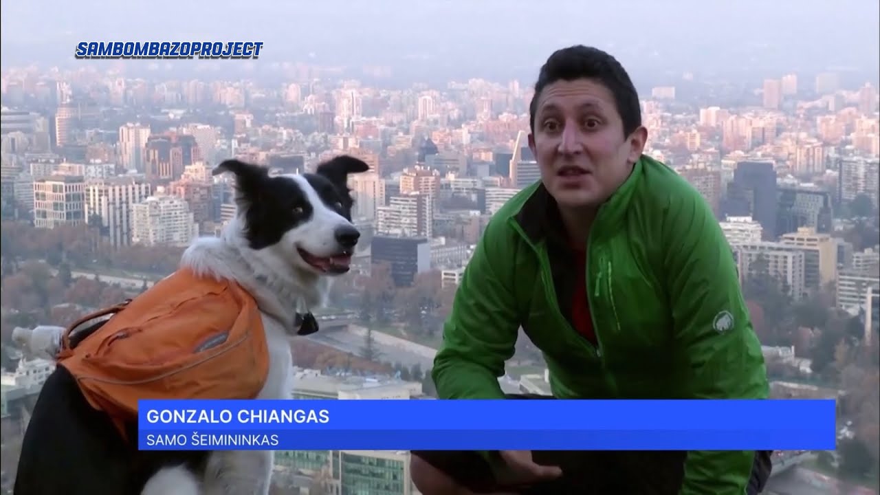 SambombazoProject - Sam el perro súper héroe de la limpieza en lituano ...