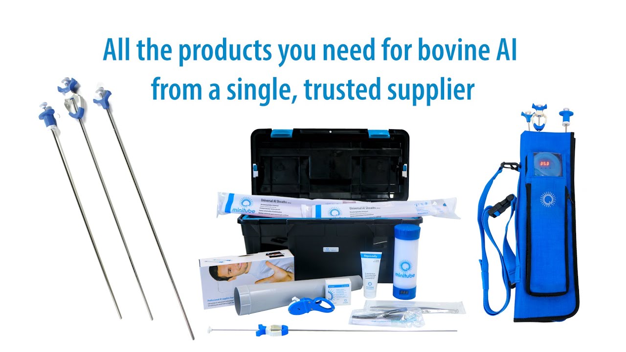 Bovine Insemination: Basic products - YouTube