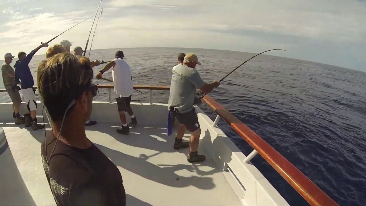 Wahoo! Wahoo! Wahoo Fishing on the Independence at Alijos Rocks trip ...
