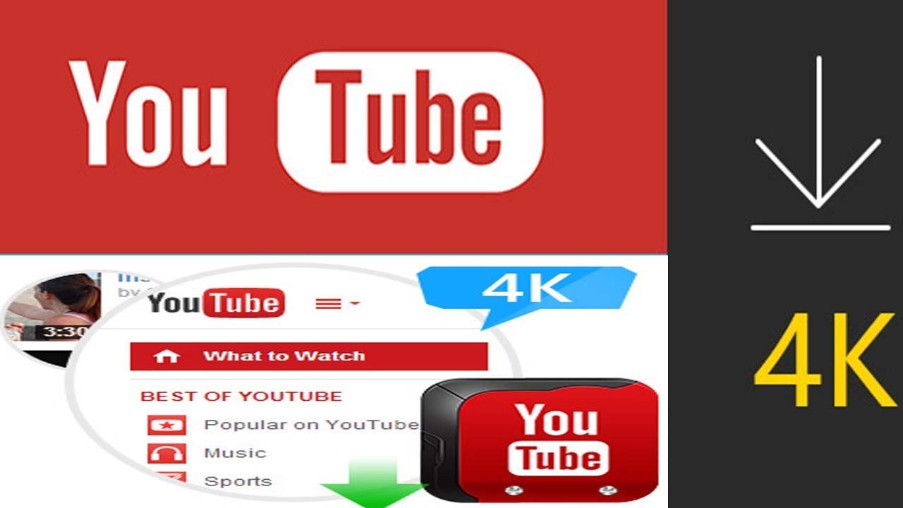 How To Download legally 4K Ultra HD Songs From YouTube Without Internet ...
