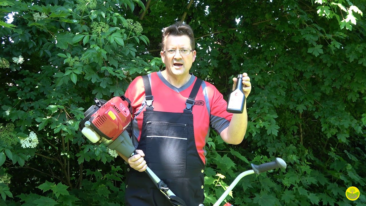 Honda Fuel Stabilizer Kraftstoffstabilisator - Benzin konservierer ...