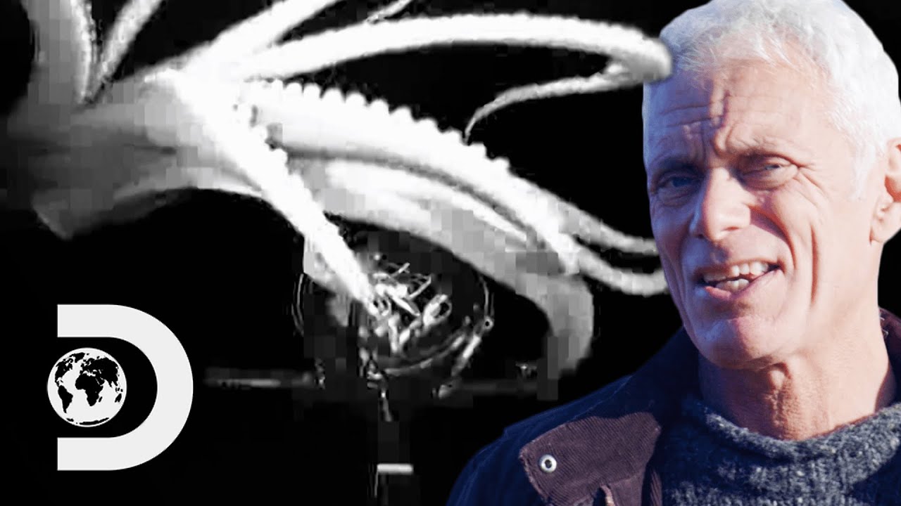 Prometheus Alien Giant Squid