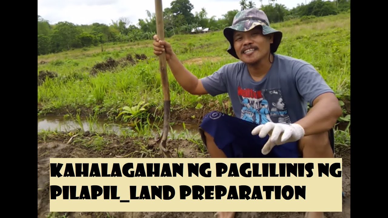 Palay Check#3_ LandPrep_Paglilinis ng Pilapil - YouTube