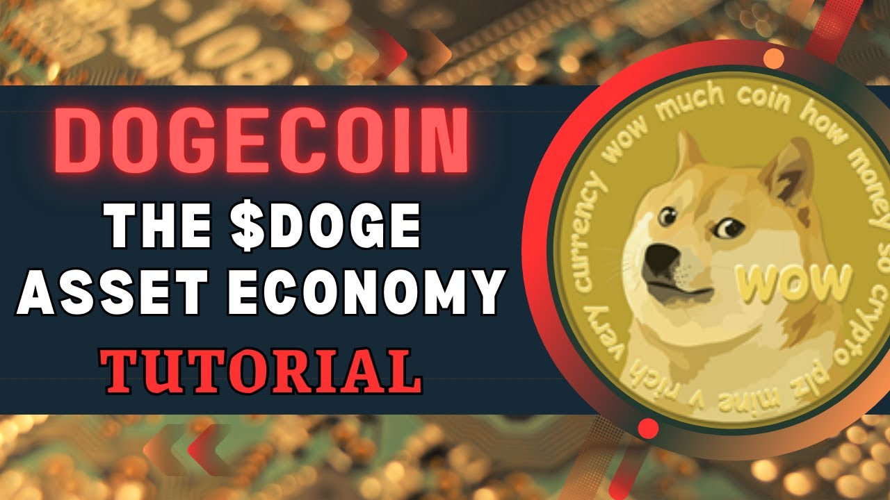 How to buy $DOGE Inscriptions 101 | DRC-20 tokens explained - YouTube