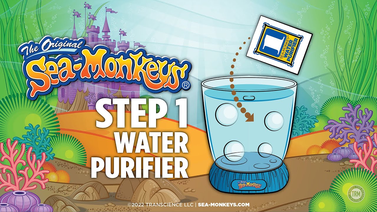 Step 1 - Water Purifier | The Original Sea-Monkeys® - YouTube