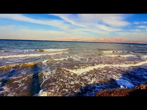 Dead Sea 🌊 Jericho 🇵🇸 Lut Denizi Eriha Filistin