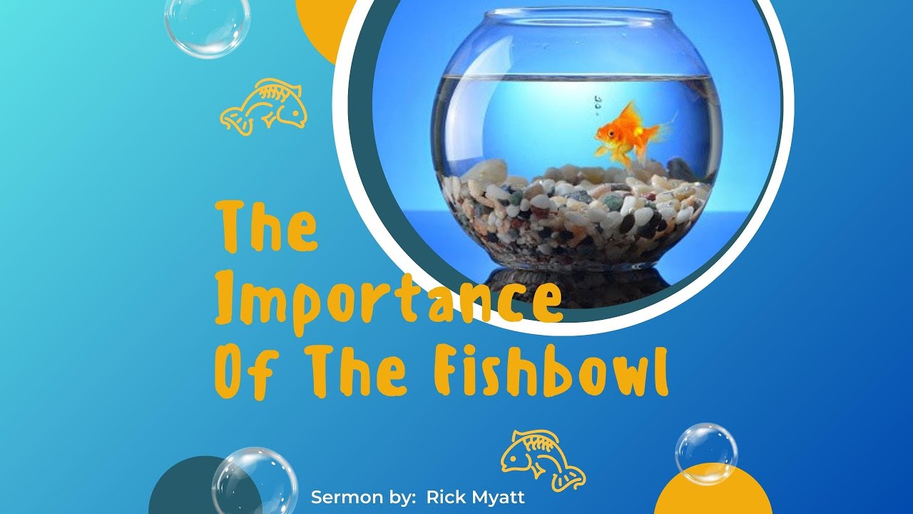 The Importance Of The Fishbowl - YouTube
